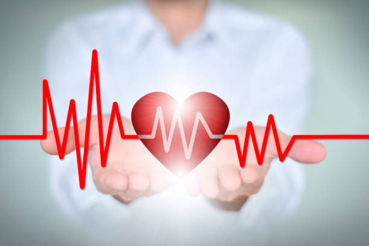 ECG Test Cost In India